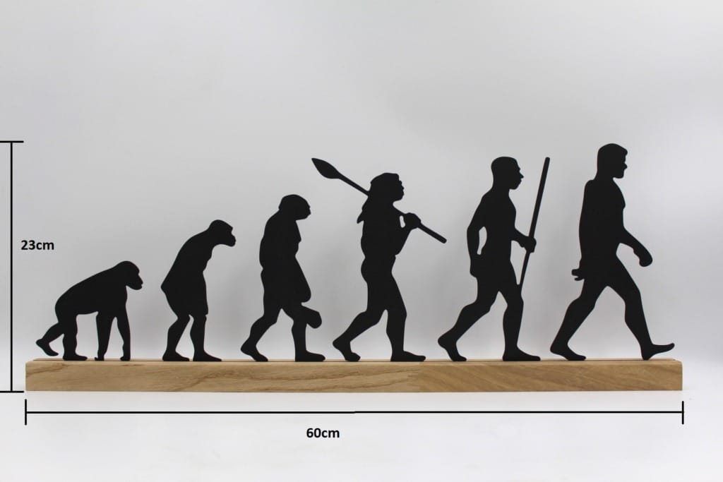 Evolution på træfod - Skovgaarden